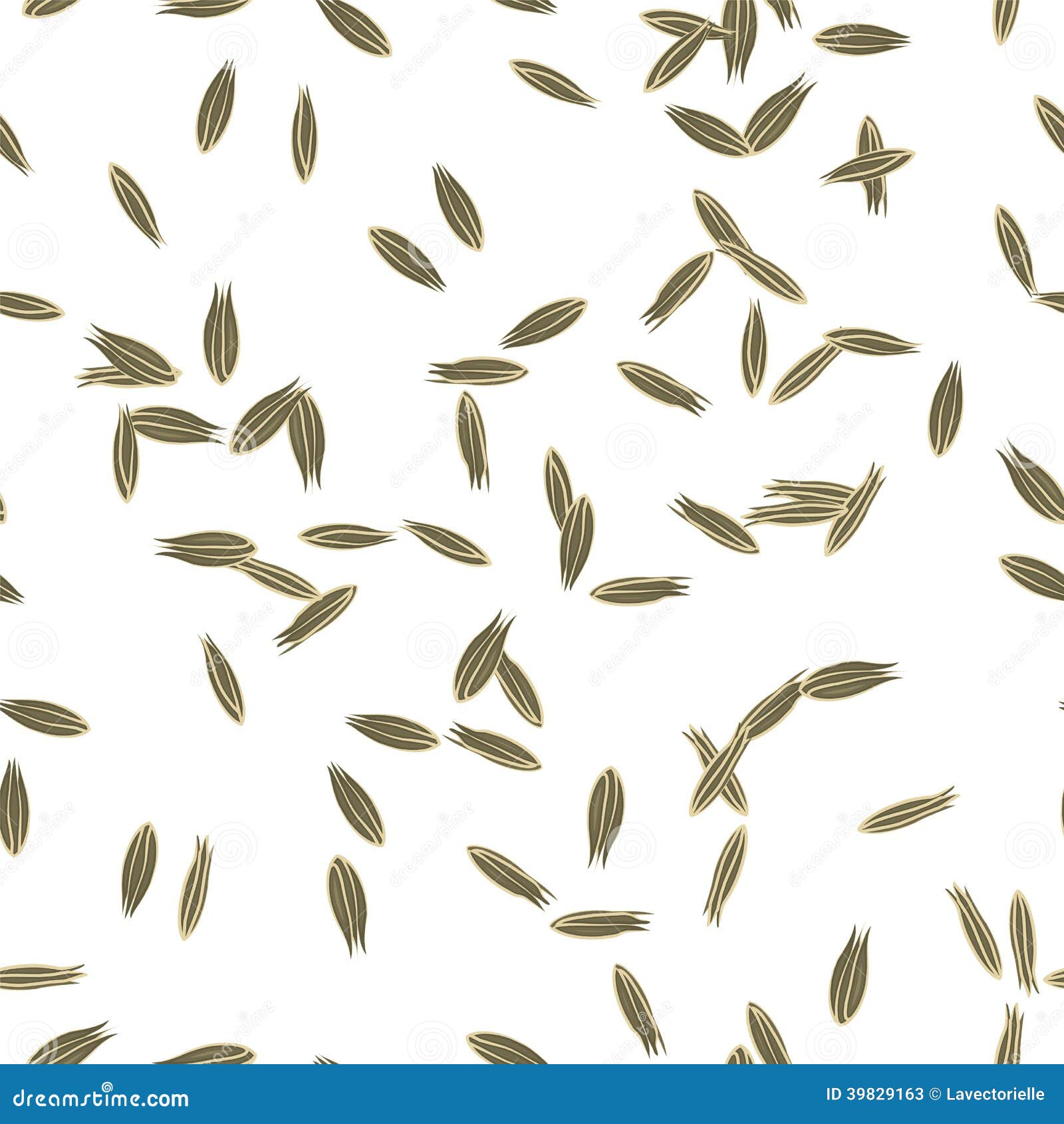 Cumin Color Vector Hand Drawn Sketch On Vintage Background ...