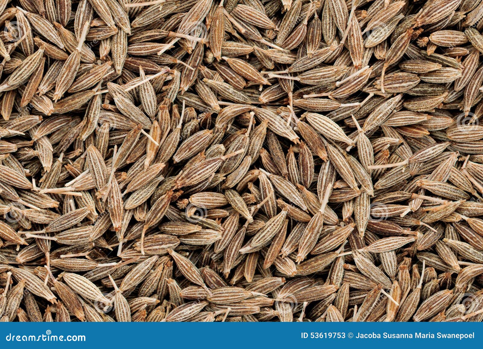 Cumin Seeds Seamless Texture Stock Image - Image of cummin, cuminum ...