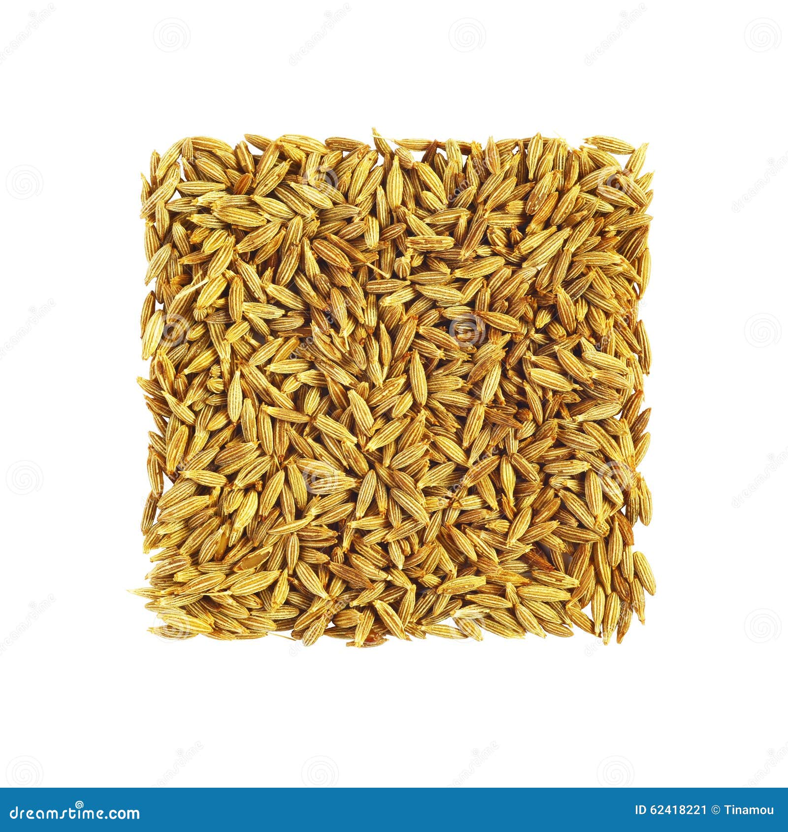 Cumin Seeds in Square Composition Stock Image - Image of cooking, life ...