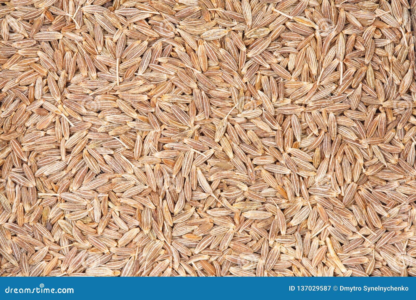 Cumin Seeds Texture, Full Frame Background. Most Popular Spice in the ...