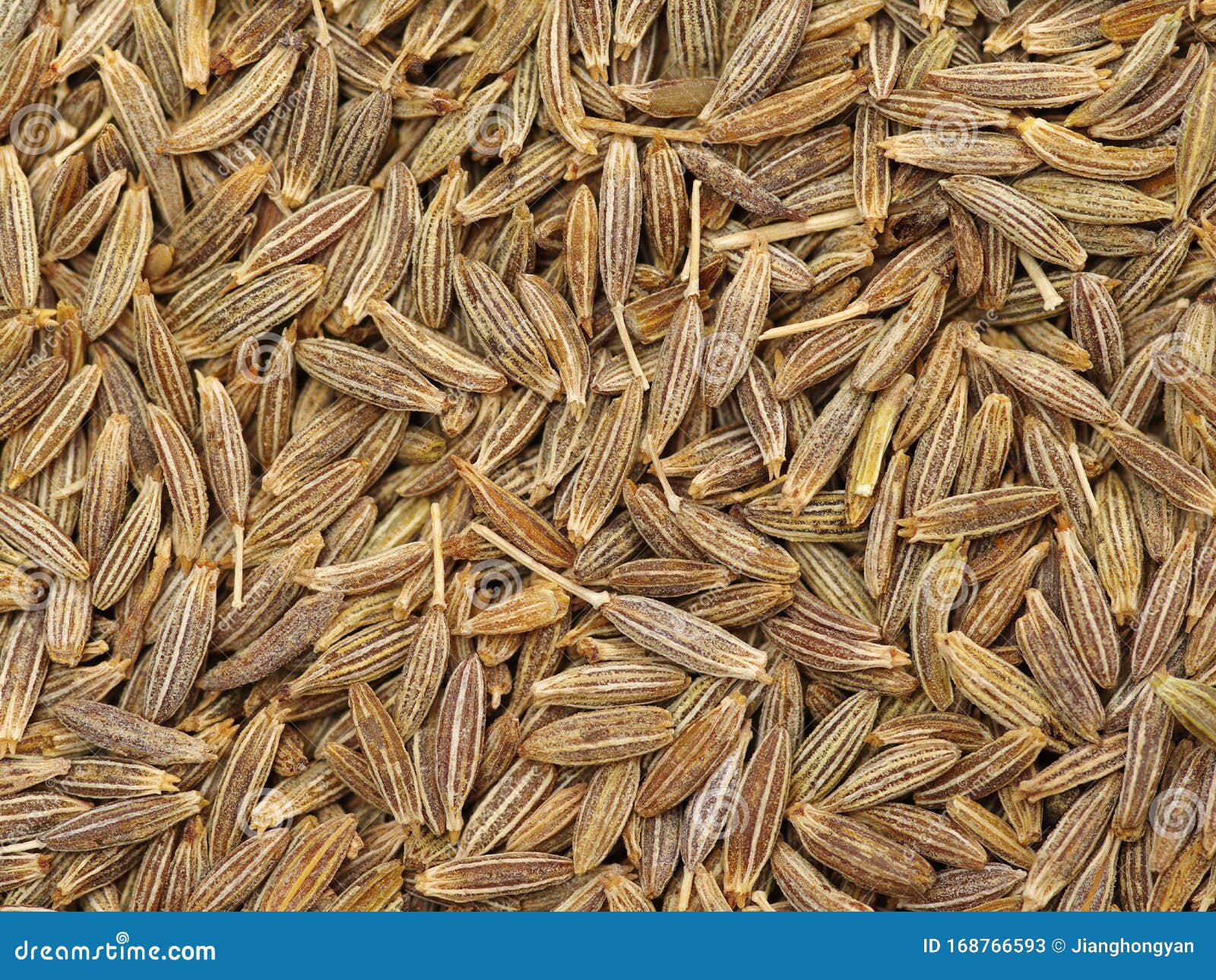Cumin seeds stock image. Image of cumin, crop, cuisine - 168766593
