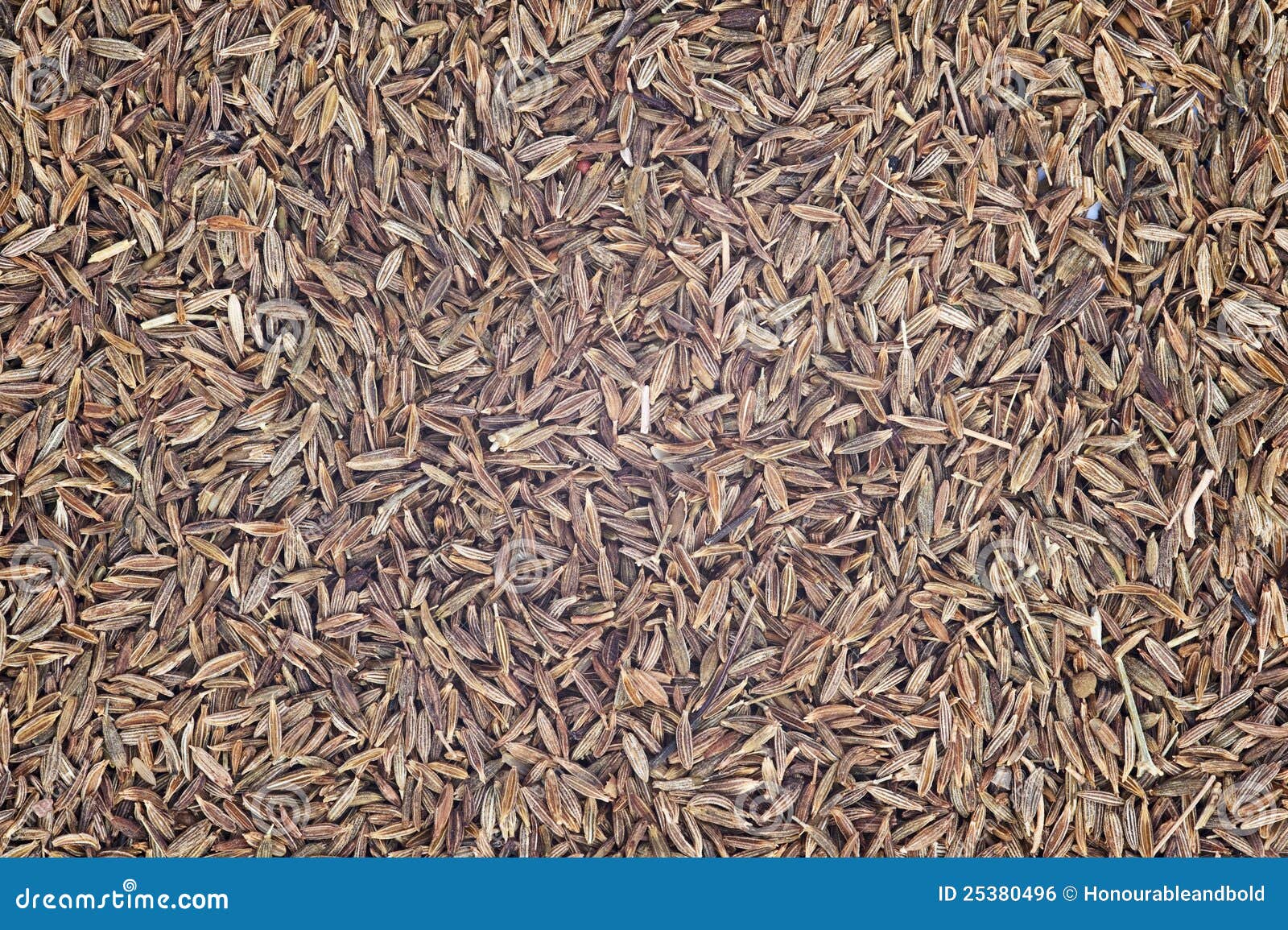 Cumin Seeds for Use As Background Stock Photo - Image of plant ...