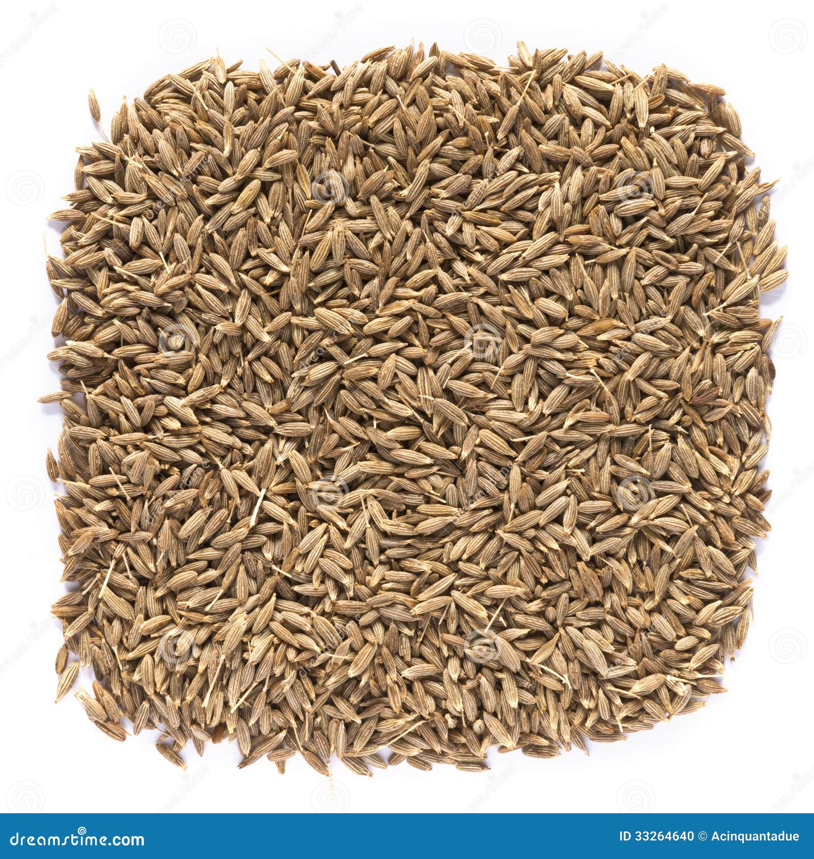 Cumin on white background stock photo. Image of healthy - 33264640