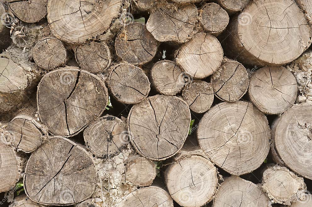 Cumulate round log stock image. Image of rough, wood - 27498161