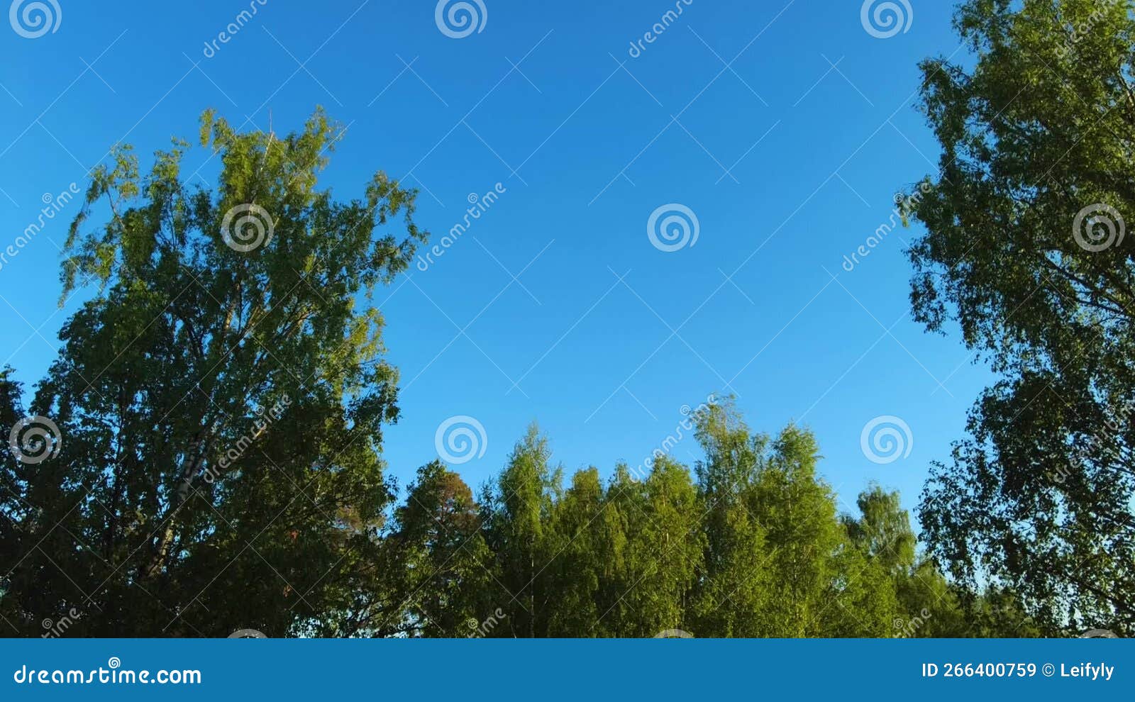 Cumulus Cloud Cloudscape Timelapse. Hyper Lapse. Motion Sky Clouds. Stock Video - Video of ...