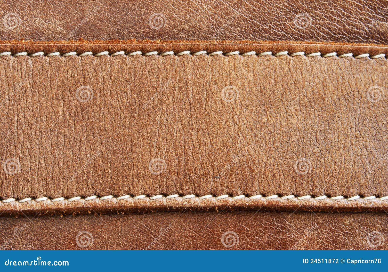 Cuoio con la cucitura fotografia stock. Immagine di nave - 24511872