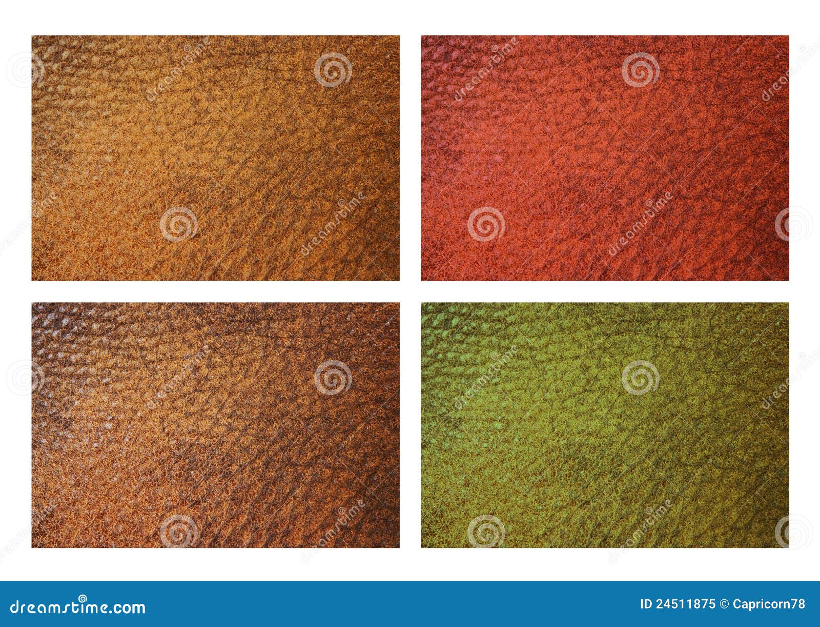 Cuoio in quattro colori immagine stock. Immagine di modo - 24511875