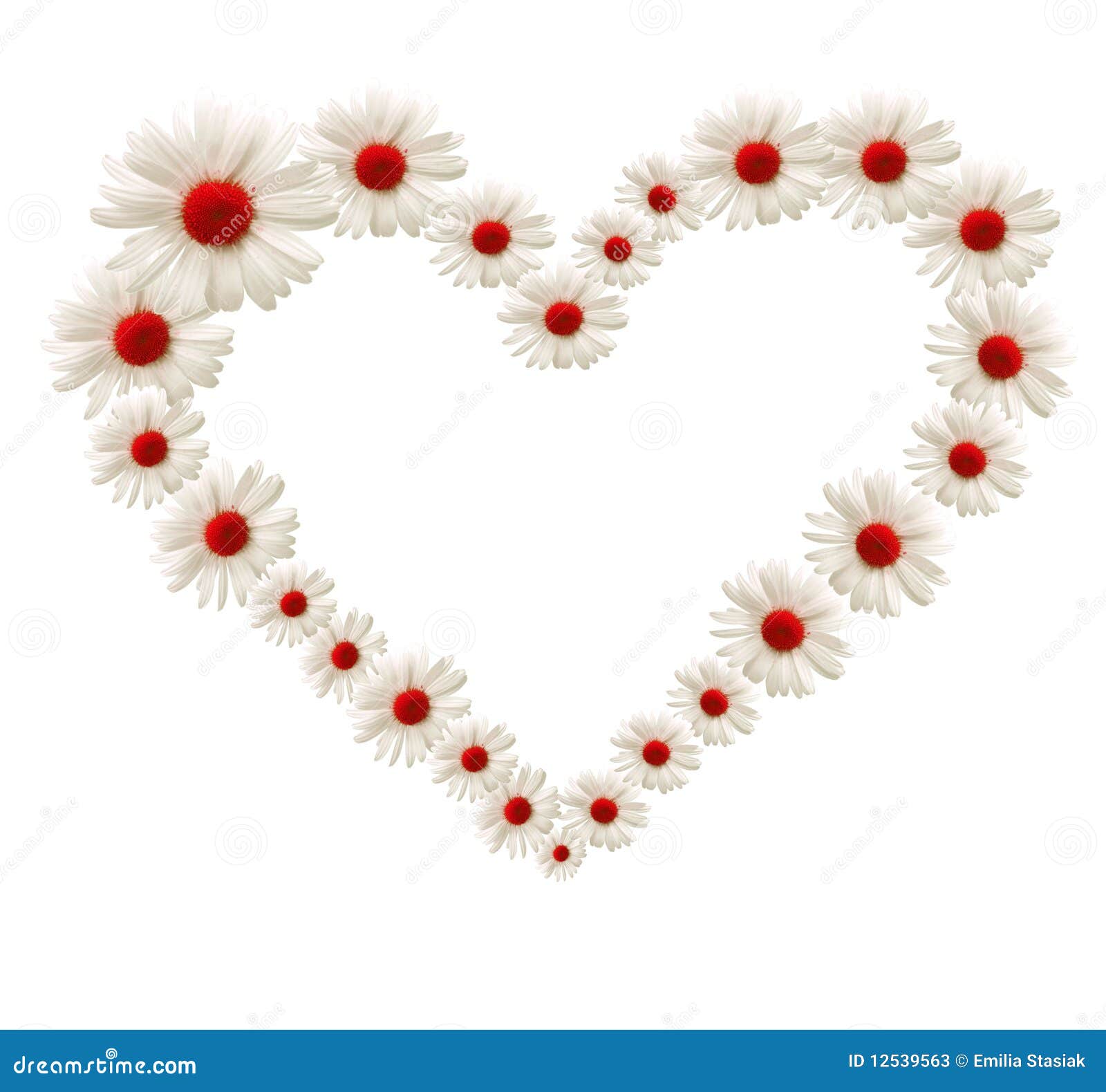 Cuore del fiore illustrazione di stock. Illustrazione di margherite ...