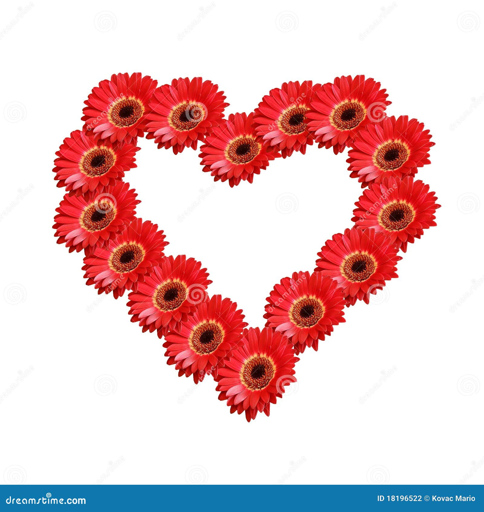 Cuore del fiore fotografia stock. Immagine di romanzesco - 18196522