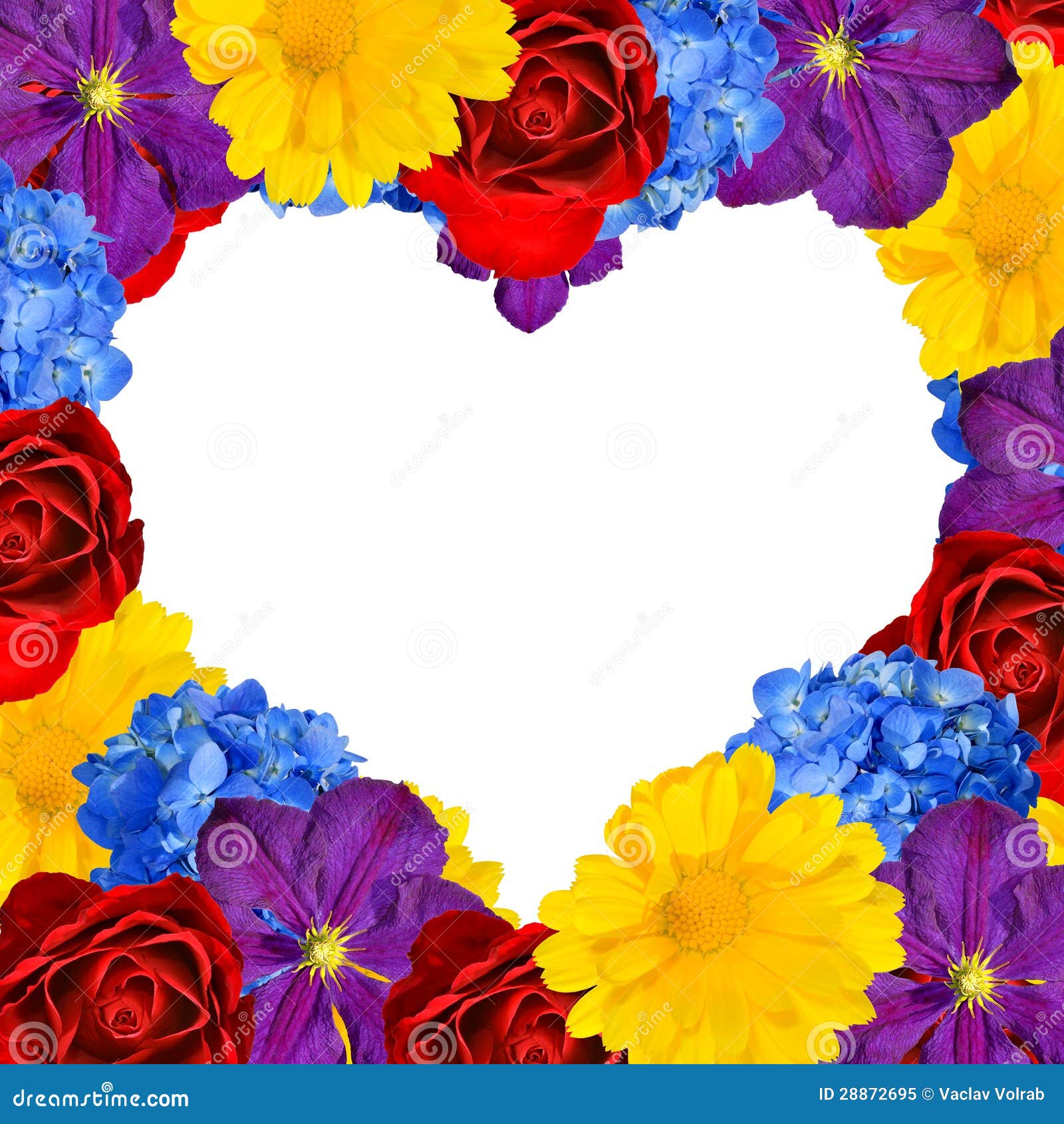 Cuore del fiore immagine stock. Immagine di sfondo, flora - 28872695