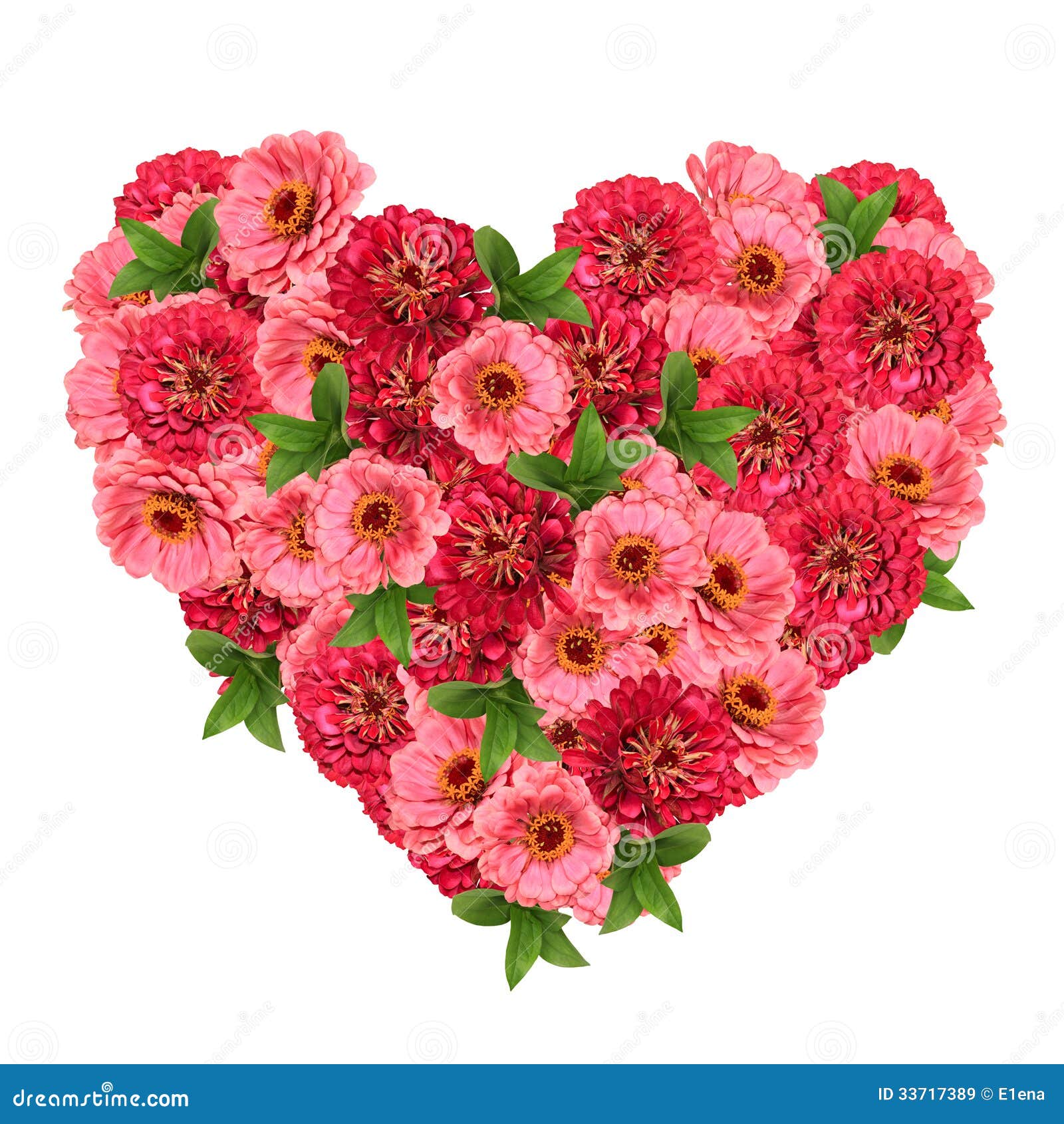 Cuore del fiore immagine stock. Immagine di fiori, rosso - 33717389