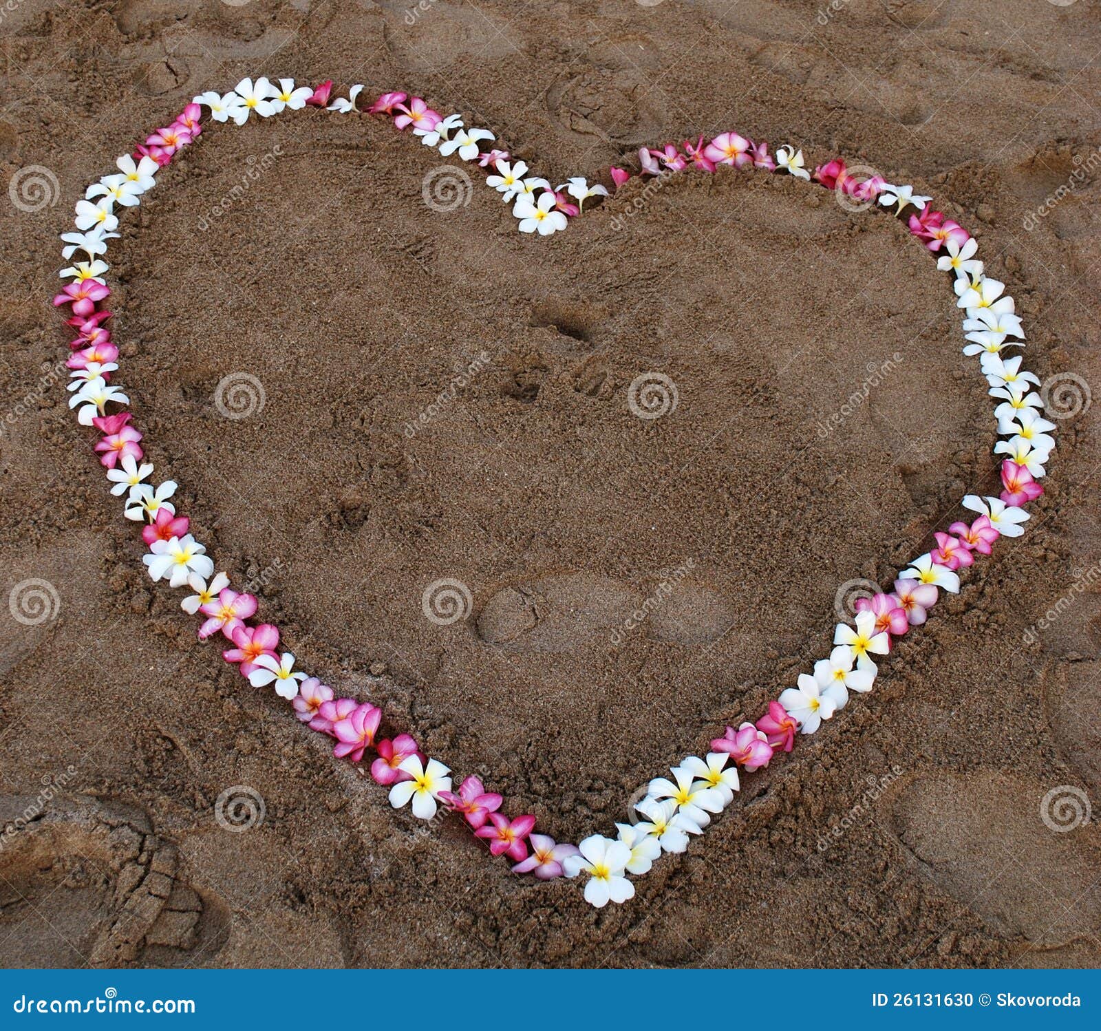Cuore Del Fiore Sulla Spiaggia Fotografia Stock - Immagine di spiaggia ...