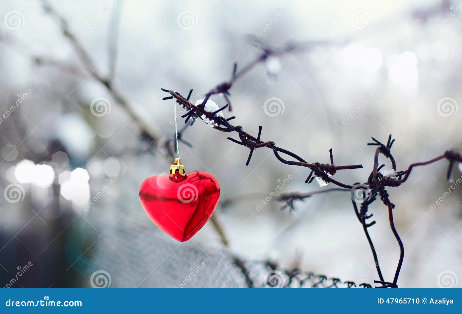 Cuore e filo spinato rossi fotografia stock. Immagine di cuore - 47965710