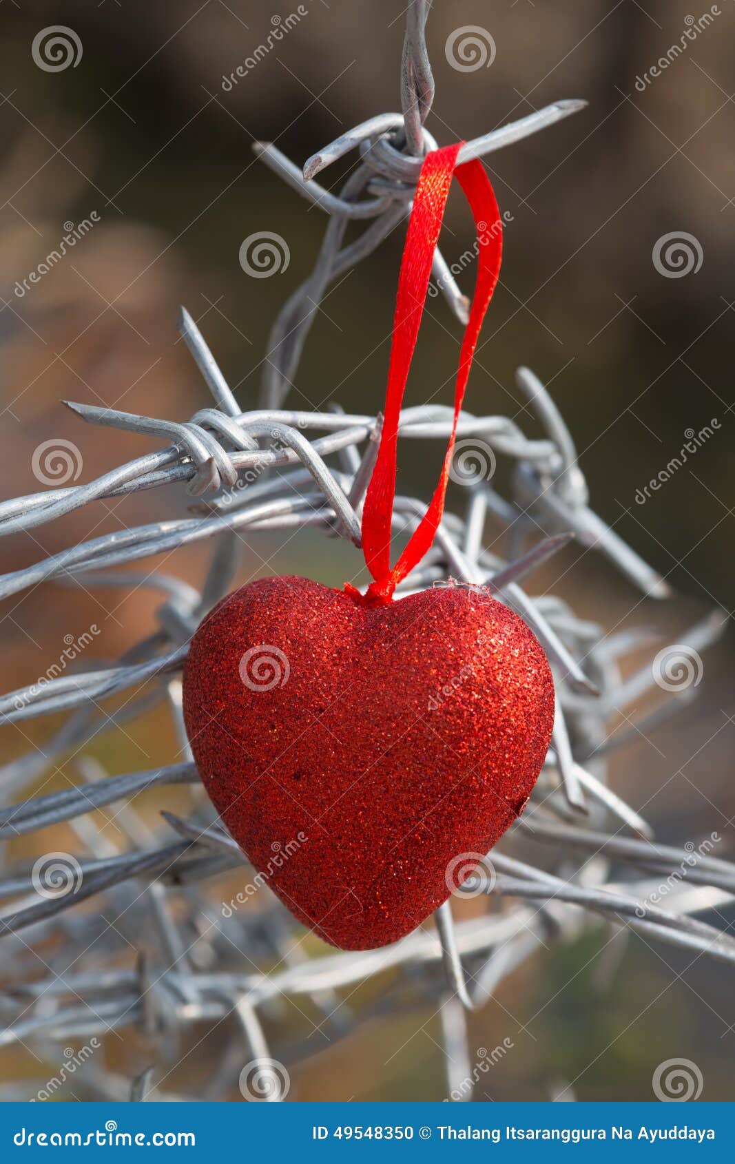 Cuore Rosso Su Un Fondo Di Filo Fotografia Stock - Immagine di passione ...