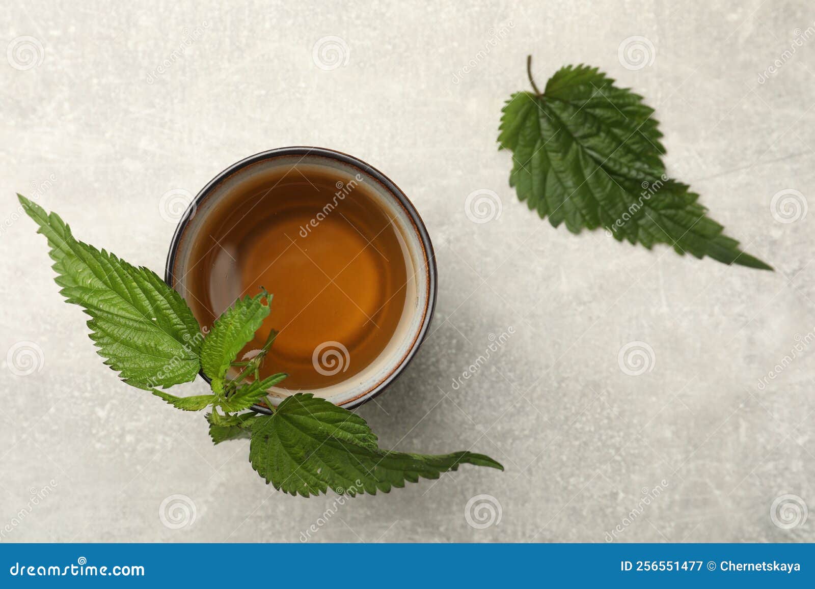 Cup of Aromatic Nettle Tea and Fresh Green Leaves on Light Grey Table ...