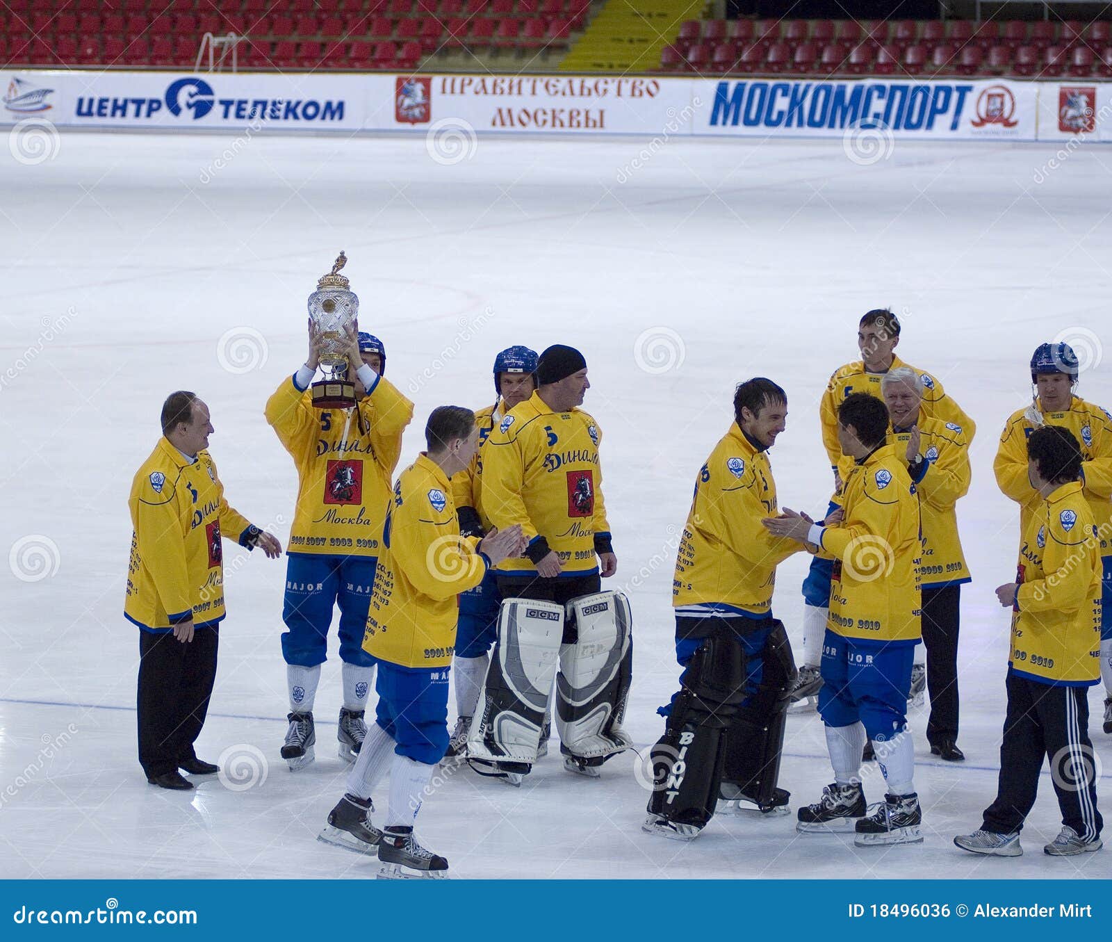 Cup of bandy editorial photo. Image of camera, rink, field - 18496036