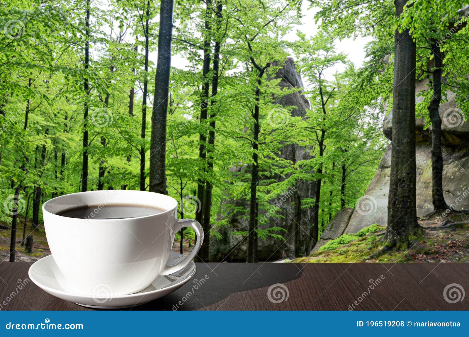 Cup of Black Coffee on Wooden Table with View of Green Forest, Tree and ...