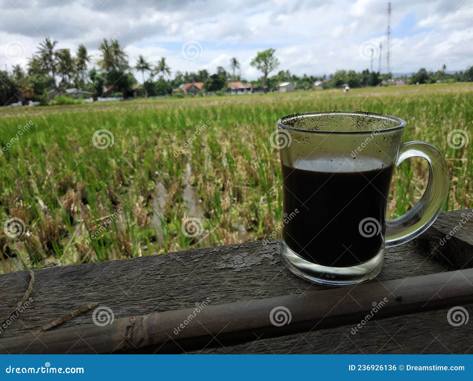 A Cup of Coffee in the Afternoon in the Rice Fields Stock Photo - Image ...
