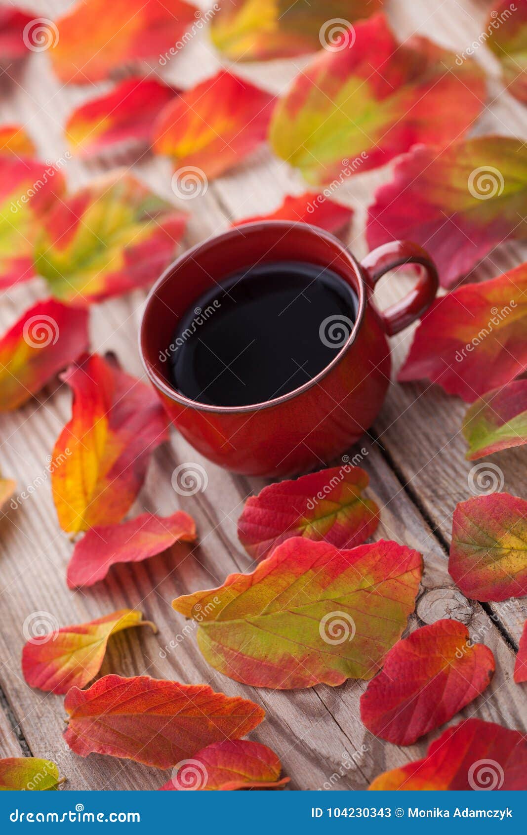 Coffee with autumn leaves stock image. Image of autumn - 104230343