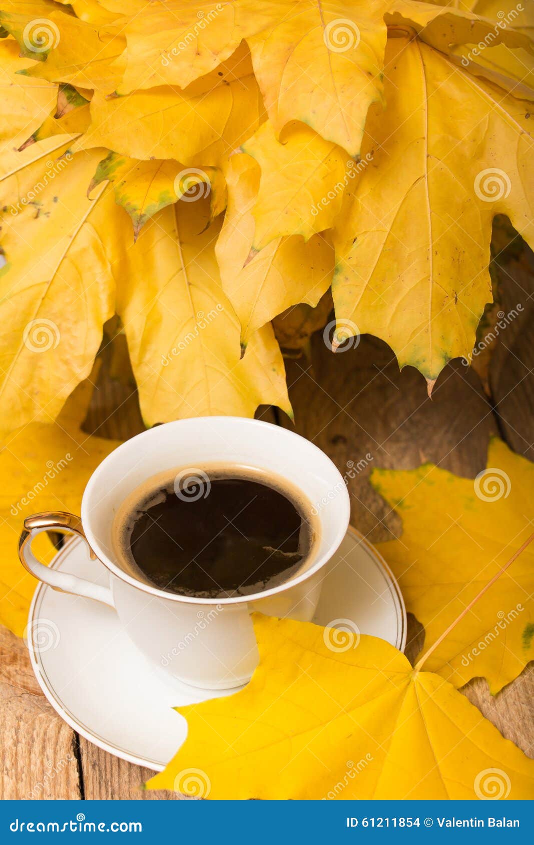Cup of Coffee and Autumn Leaves Stock Photo - Image of decoration, fall ...