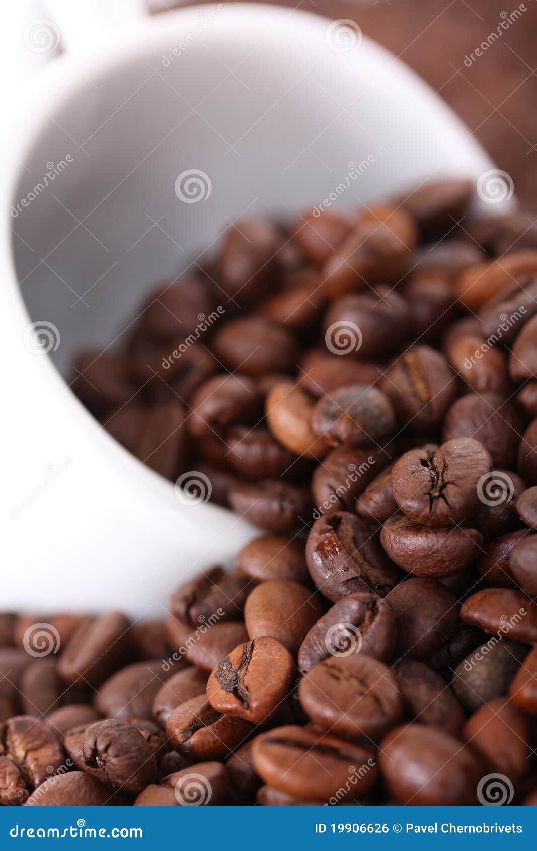 Cup in coffee beans stock photo. Image of cappuccino - 19906626