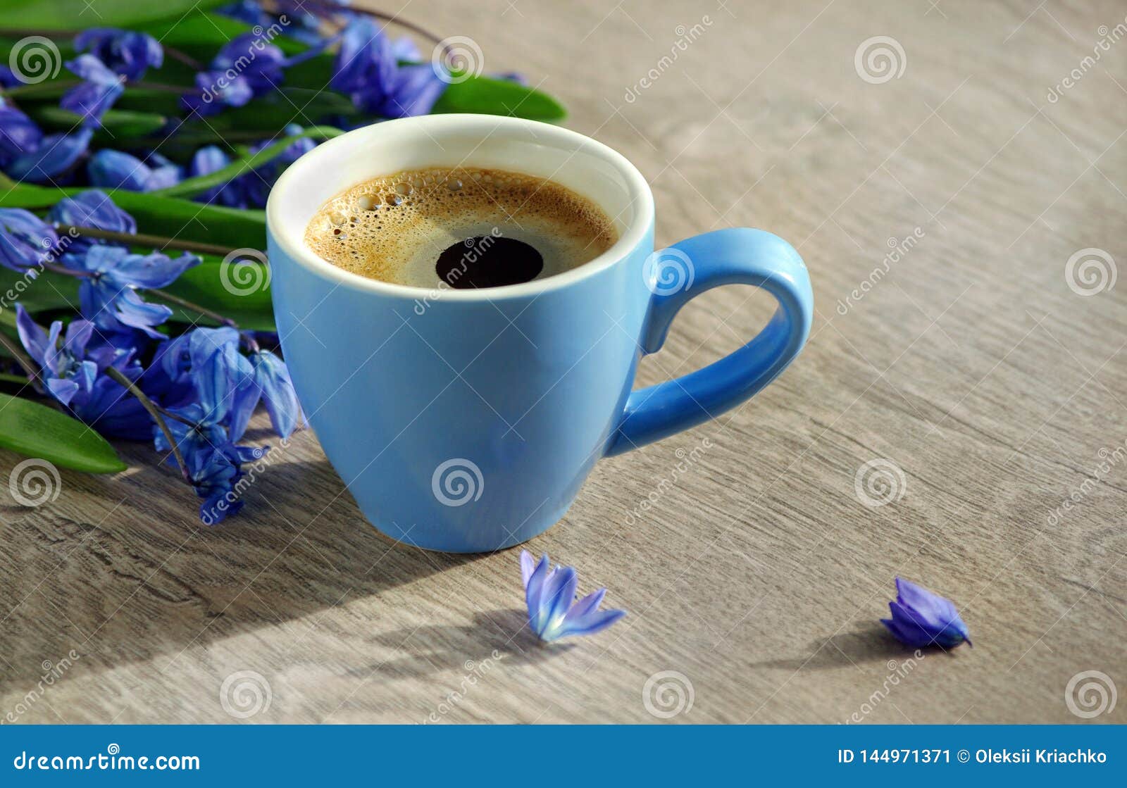 Cup of Coffee and Blue Flowers on the Wooden Table. Blue Scilla Flowers ...