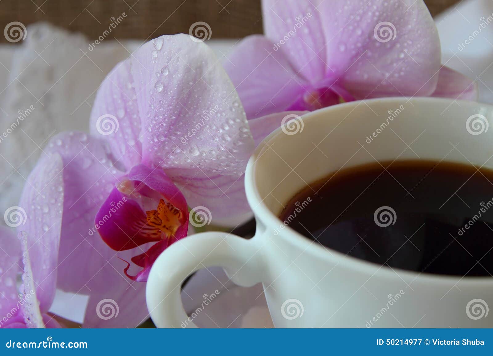 Cup of coffee stock image. Image of drop, brown, orchid - 50214977