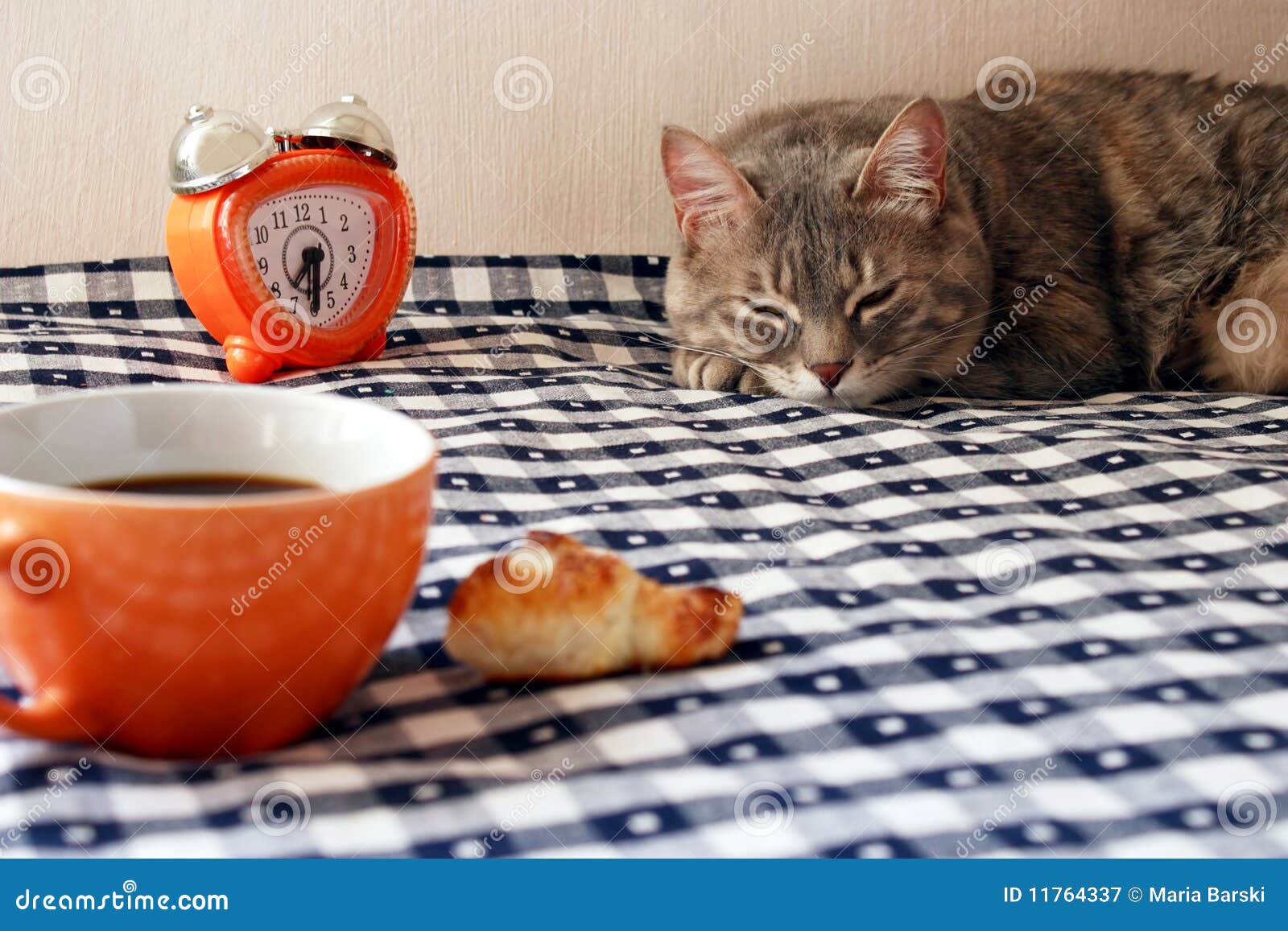Cup of coffee and cat stock image. Image of drink, restaurant - 11764337