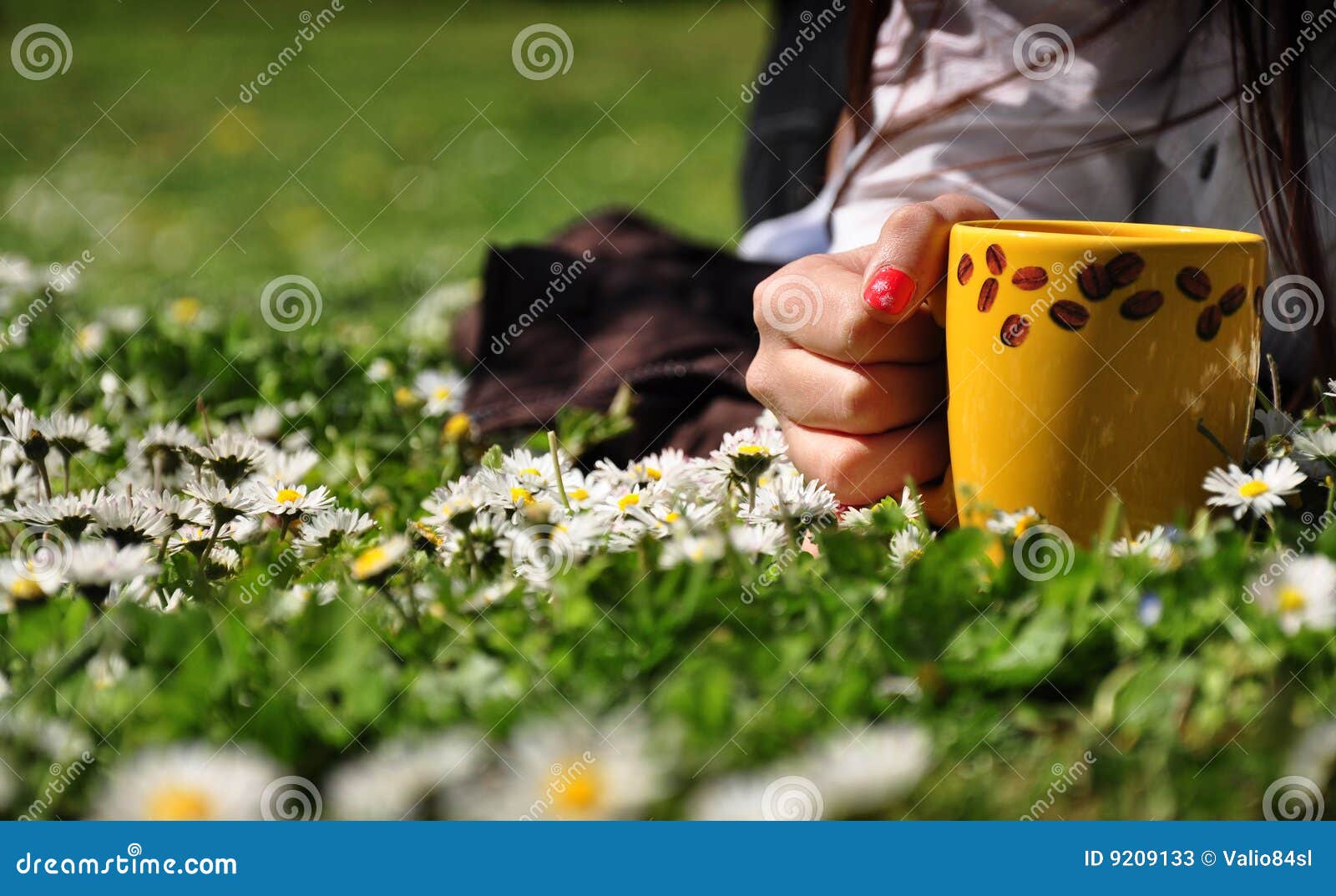 Cup of Coffee and Daisy Field Stock Image - Image of wildflower, yellow ...