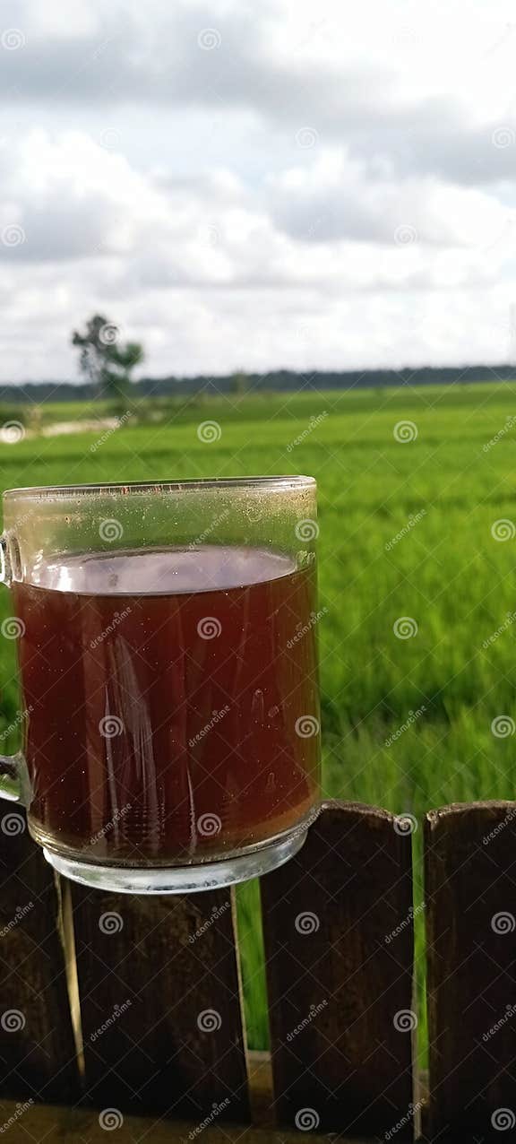 A Cup of Coffee on the Edge of the Rice Fields Stock Photo - Image of ...