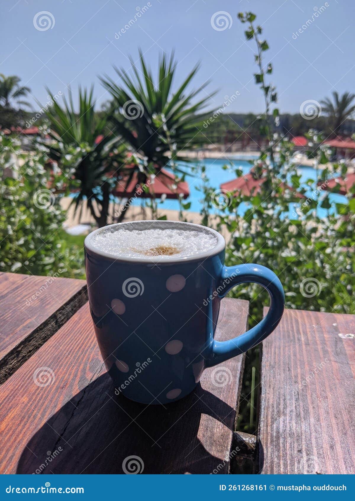 A Cup of Coffee in Front of the Pool. Stock Image - Image of pool ...