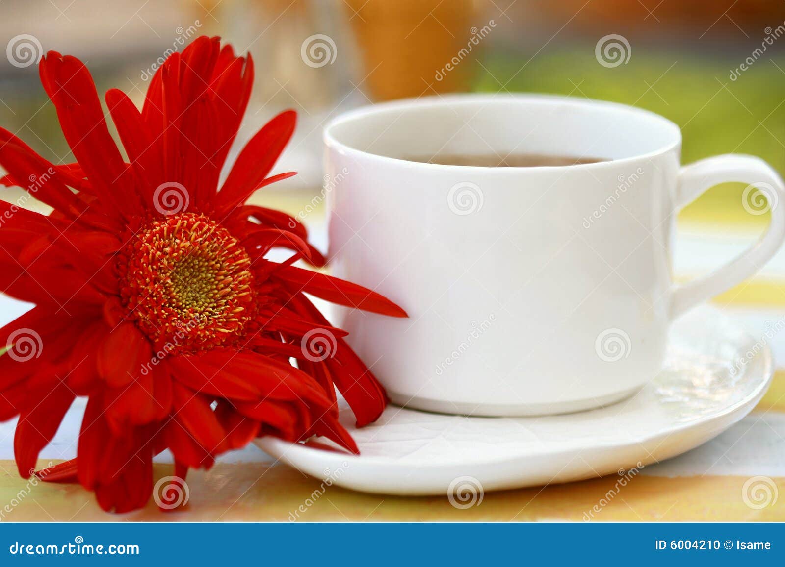 Cup of coffee with gerbera stock photo. Image of closeup - 6004210