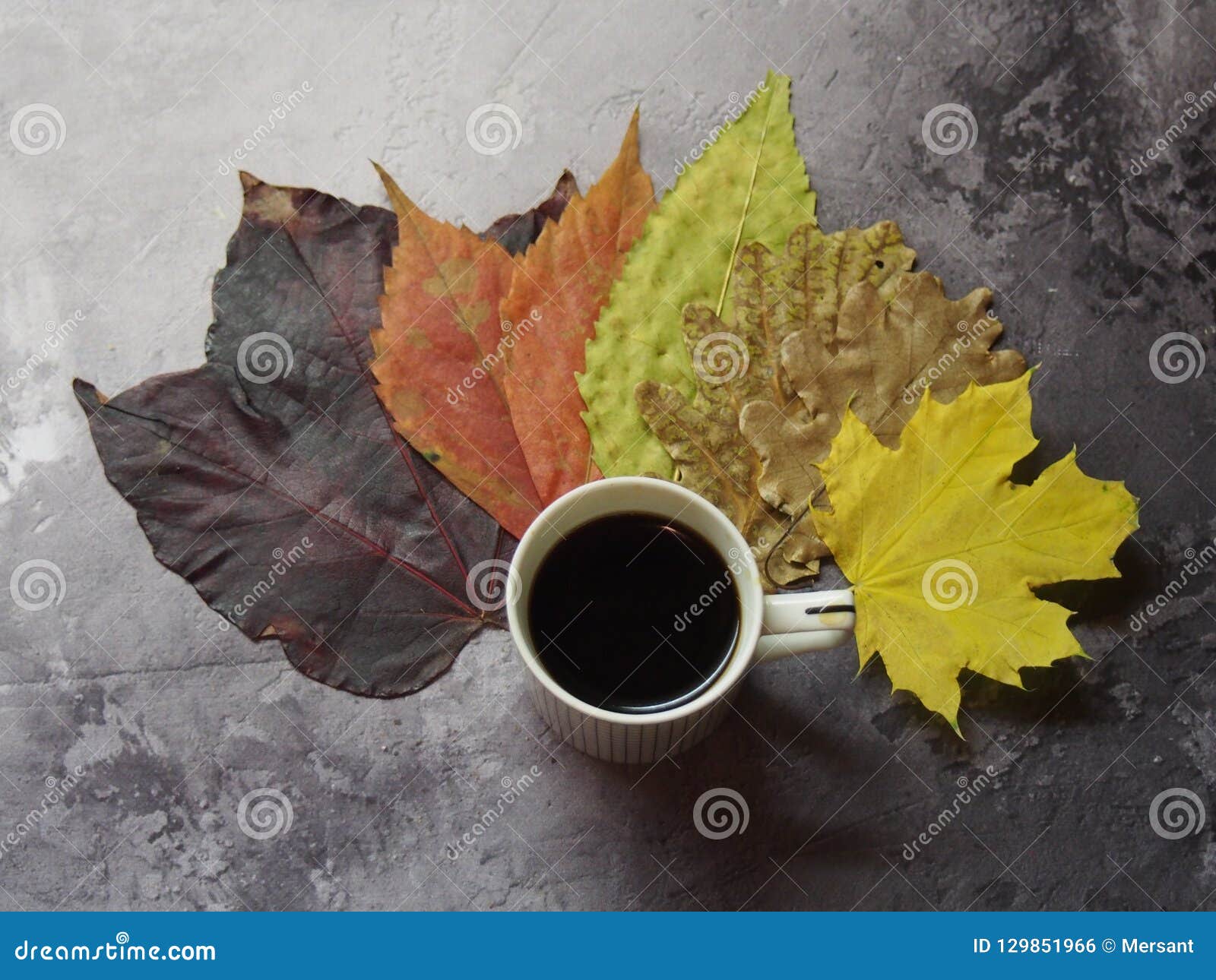 A cup of coffee and leaves stock photo. Image of coffee - 129851966
