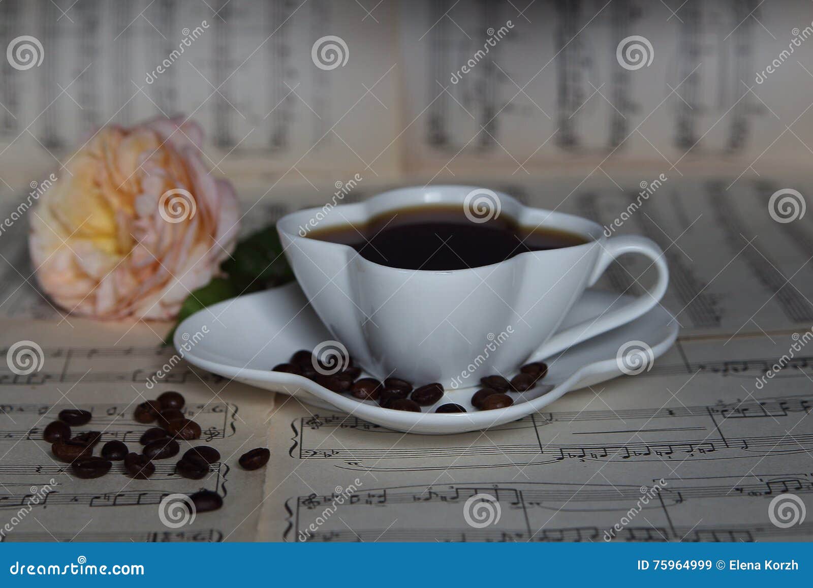 Cup of Coffee on Musical Sheets with a Rose Stock Image - Image of ...