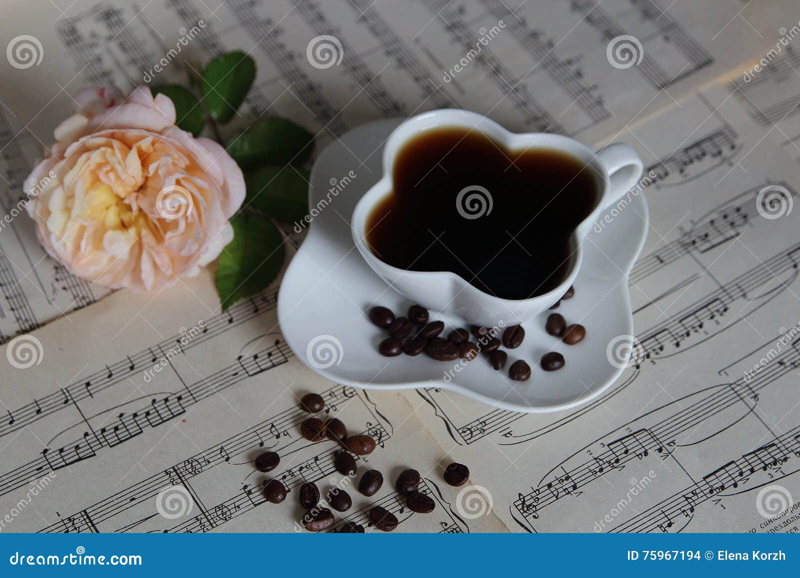 Cup of Coffee on Musical Sheets with a Rose Stock Photo - Image of ...