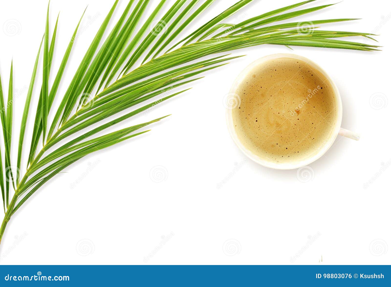 Cup of Coffee and Palm Leaf Stock Photo - Image of ecology, breakfast ...