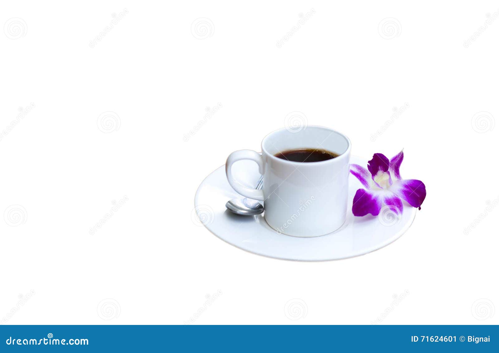Cup of Coffee with Purple Orchid Flower Isolated Stock Image - Image of ...