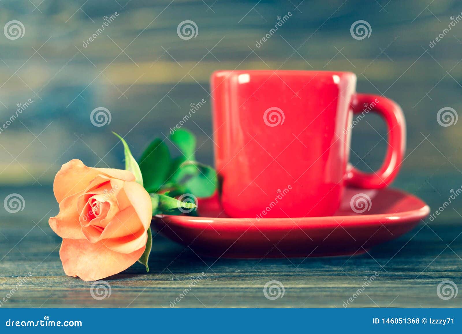 Cup of coffee and rose stock photo. Image of flowers - 146051368