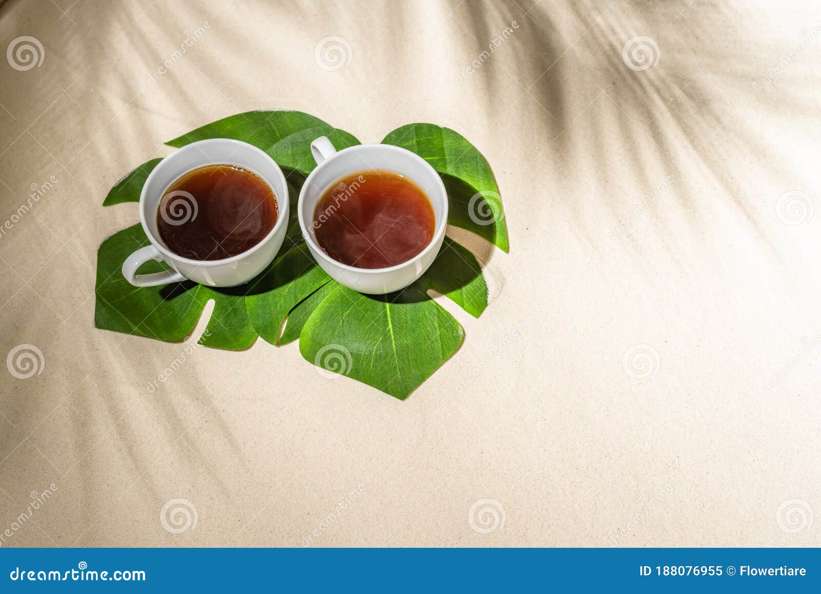 Cup Coffee on Sand of Tropical Beach Under Palm Tree Branches Shadow ...