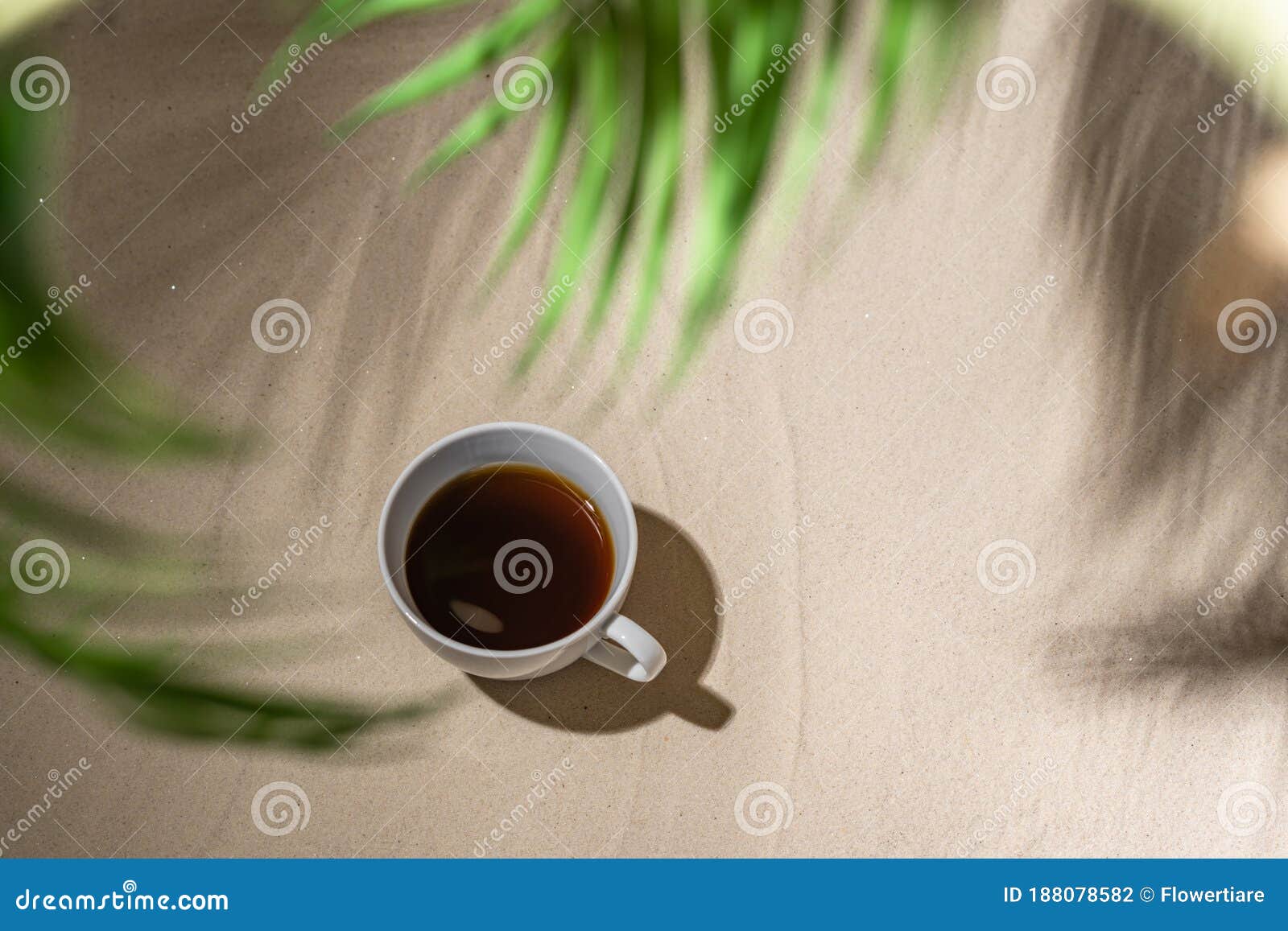 Cup Coffee on Sand of Tropical Beach Under Palm Tree Branches Shadow ...