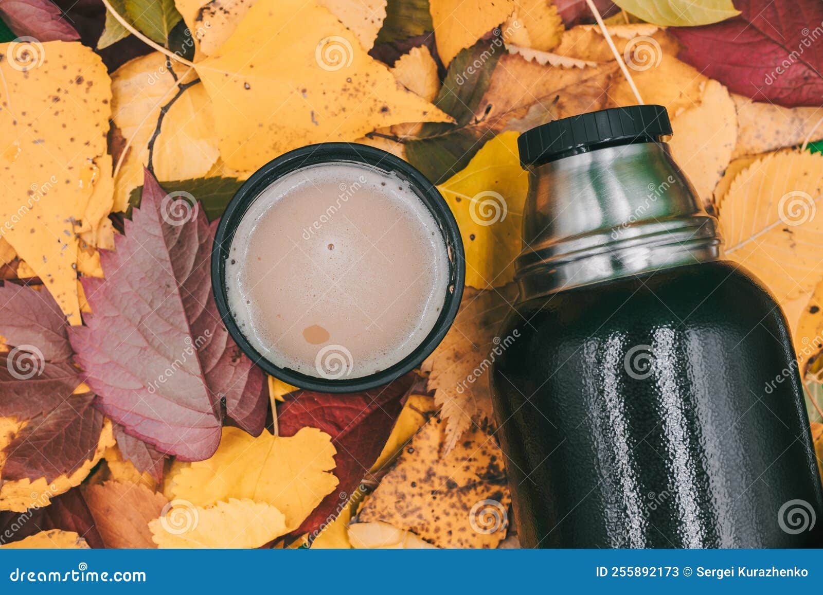 A Cup of Coffee with a Thermos on the Background of Autumn Leaves Stock ...