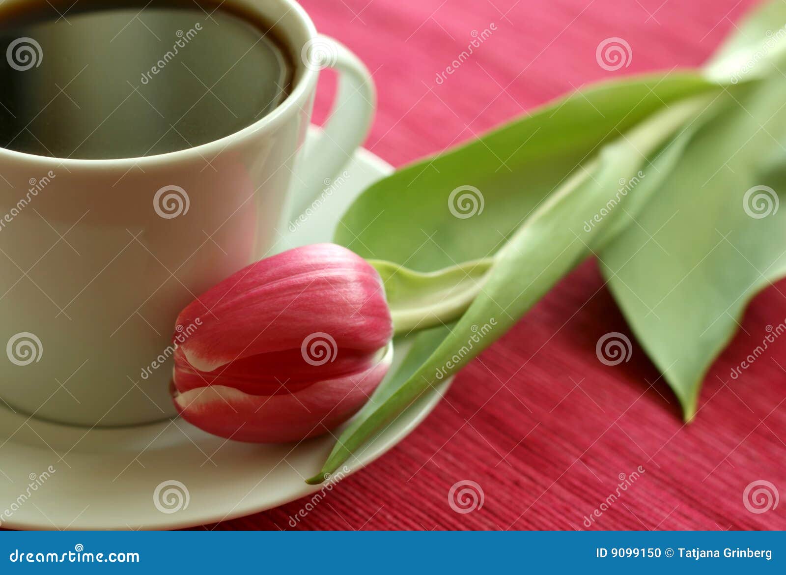 Cup of coffee and tulip stock photo. Image of desk, decoration - 9099150