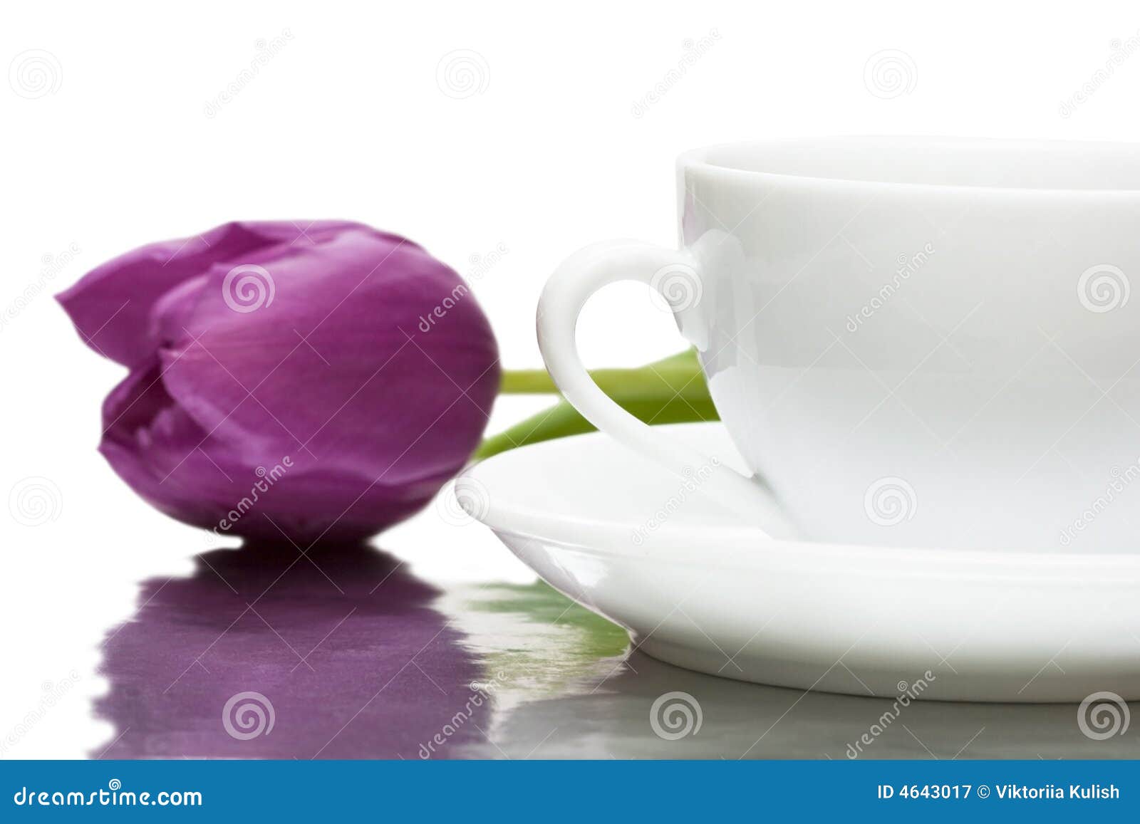 Cup of Coffee with Violet Tulip Stock Image - Image of coffee, flower ...
