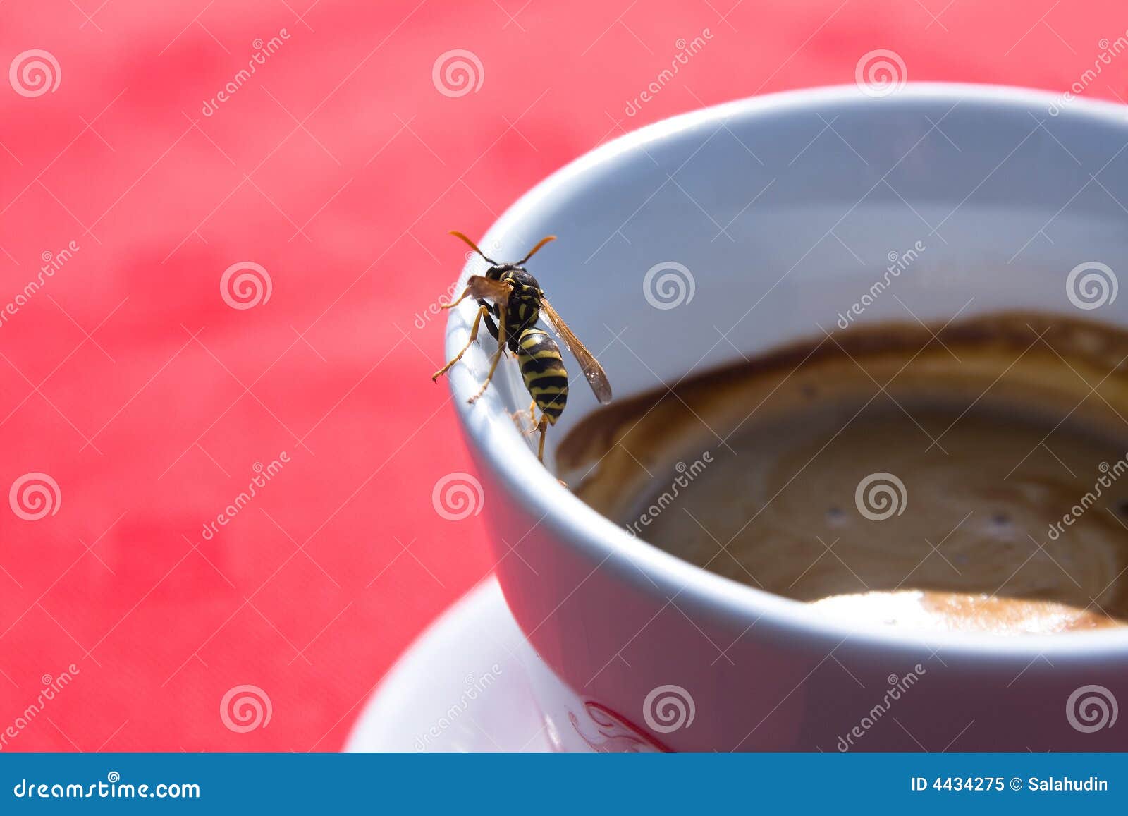 Cup of coffee and wasp stock image. Image of coffee, hornet - 4434275