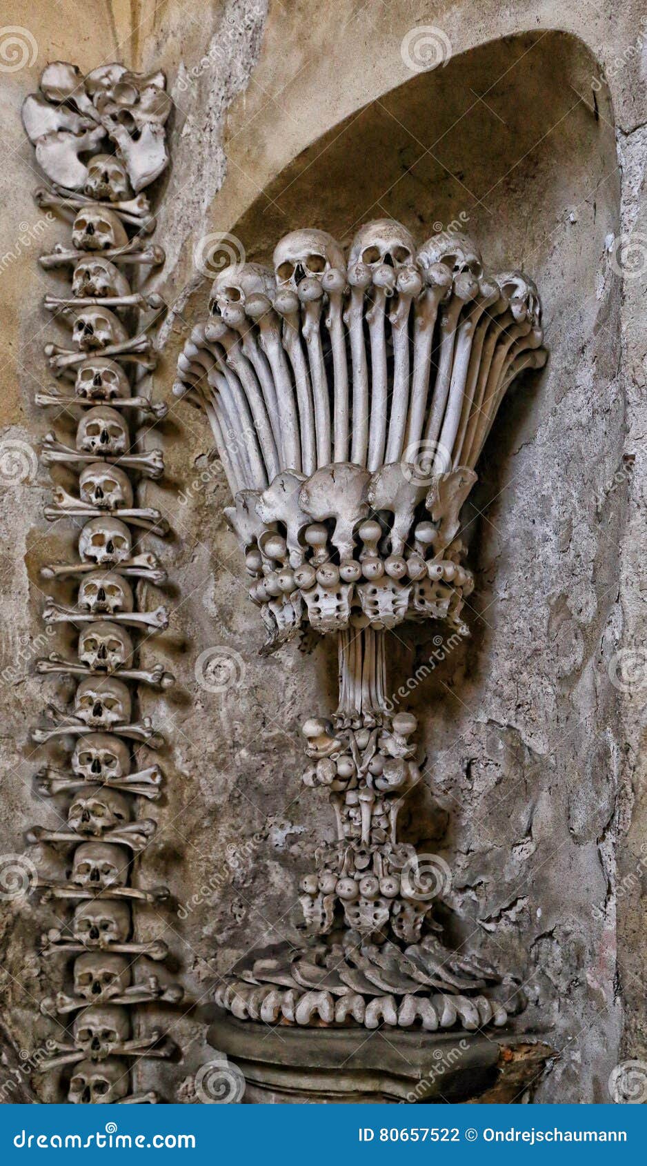 Cup and Decoration Made of Human Bones Stock Photo - Image of hora ...