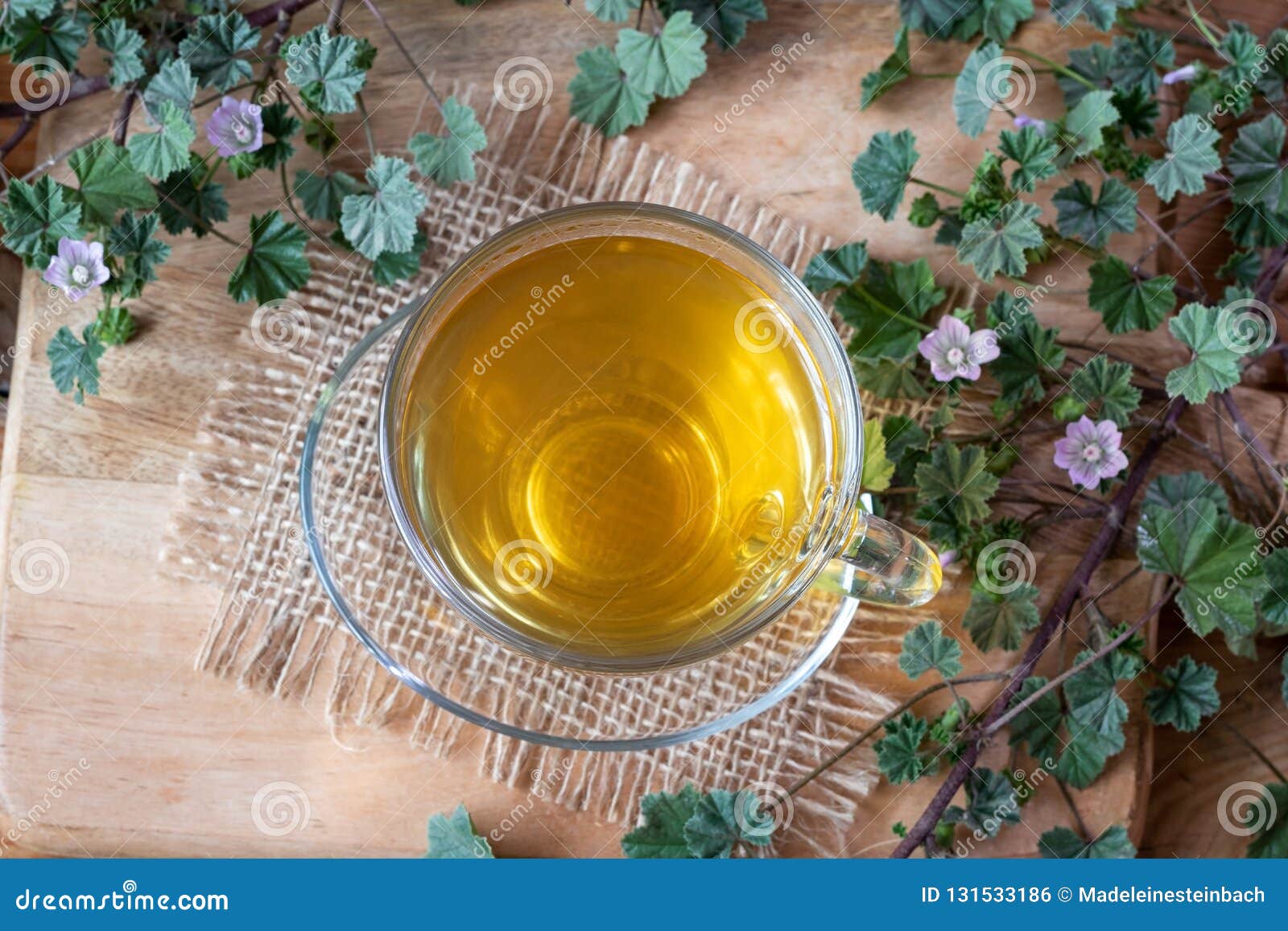 A Cup of Dwarf Mallow Tea and Blooming Plant Stock Photo - Image of ...