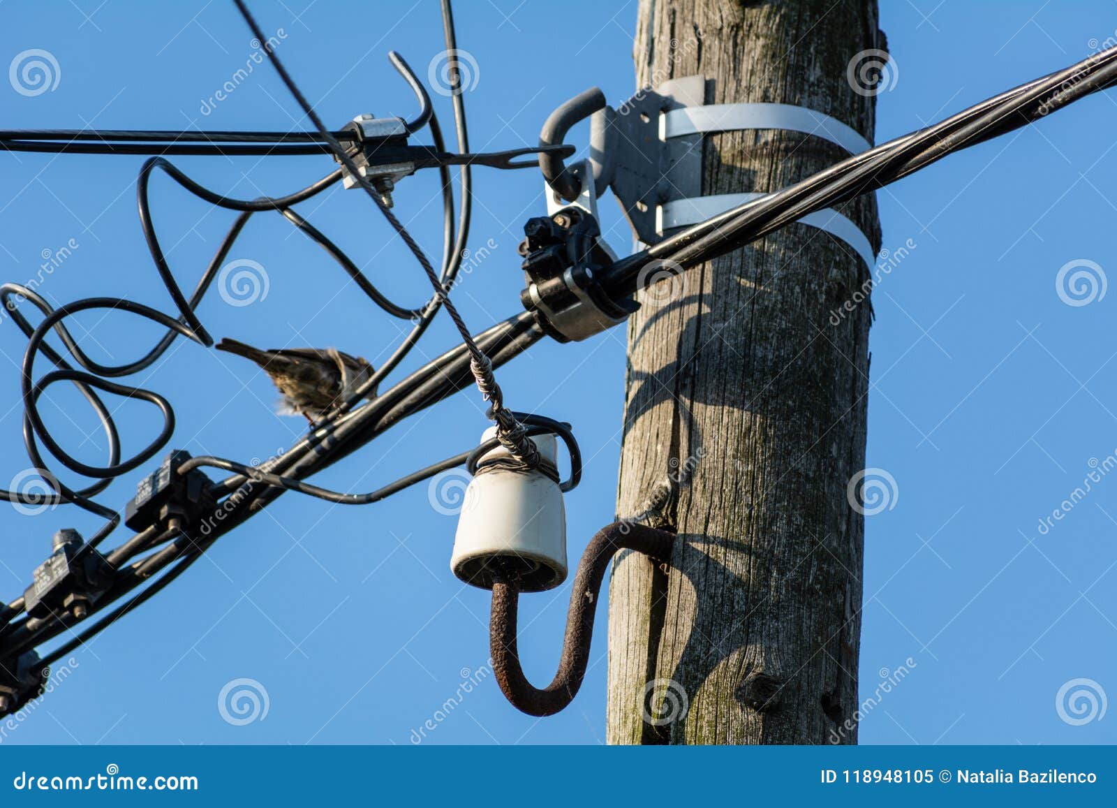 A cup of electric pole stock image. Image of network - 118948105