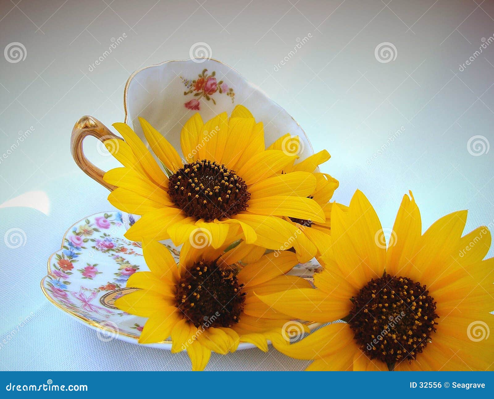 Cup of flowers stock photo. Image of flowers, sunflowers - 32556