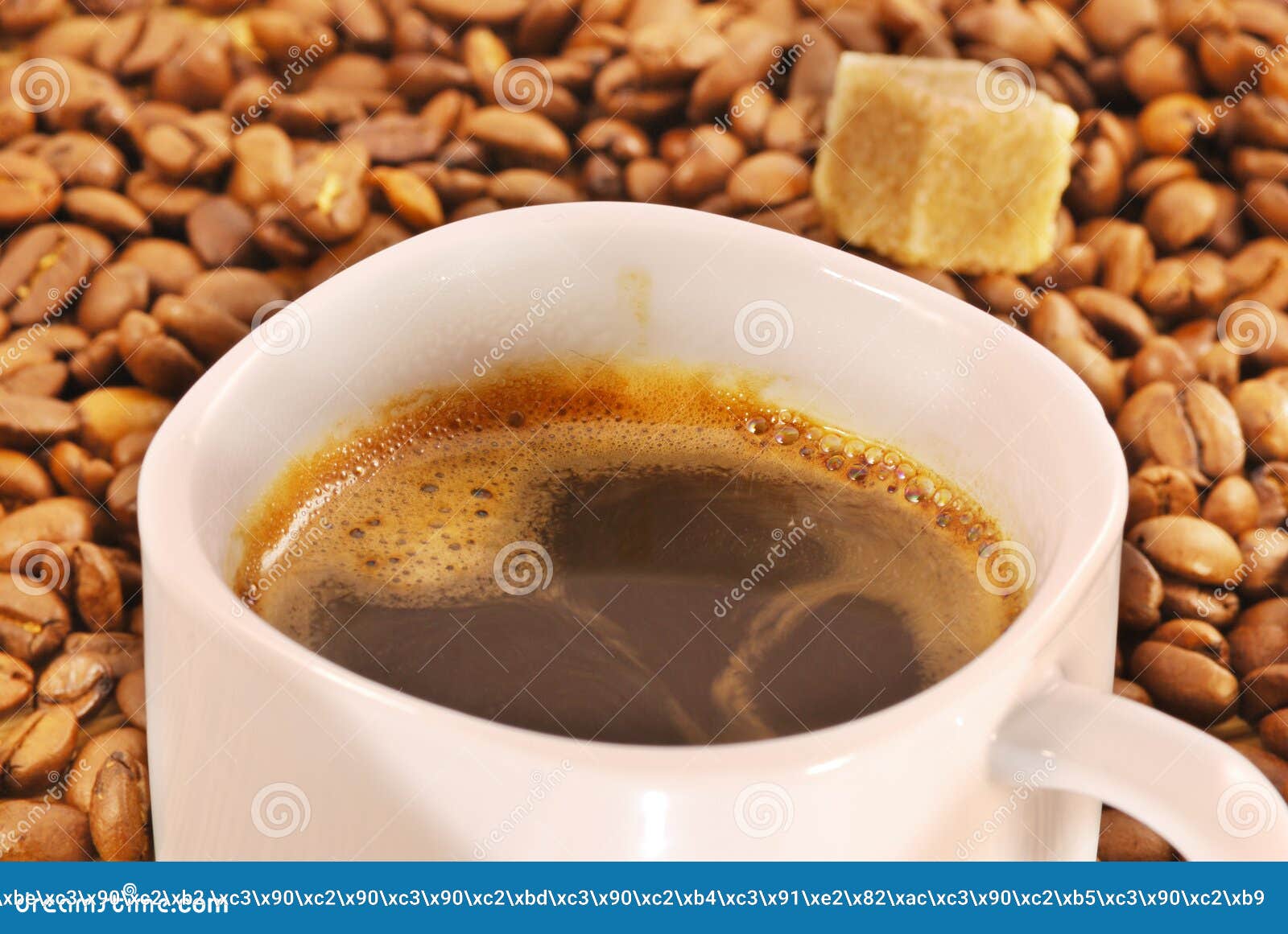 Cup of fresh brewed coffee stock photo. Image of lliquid - 12538330