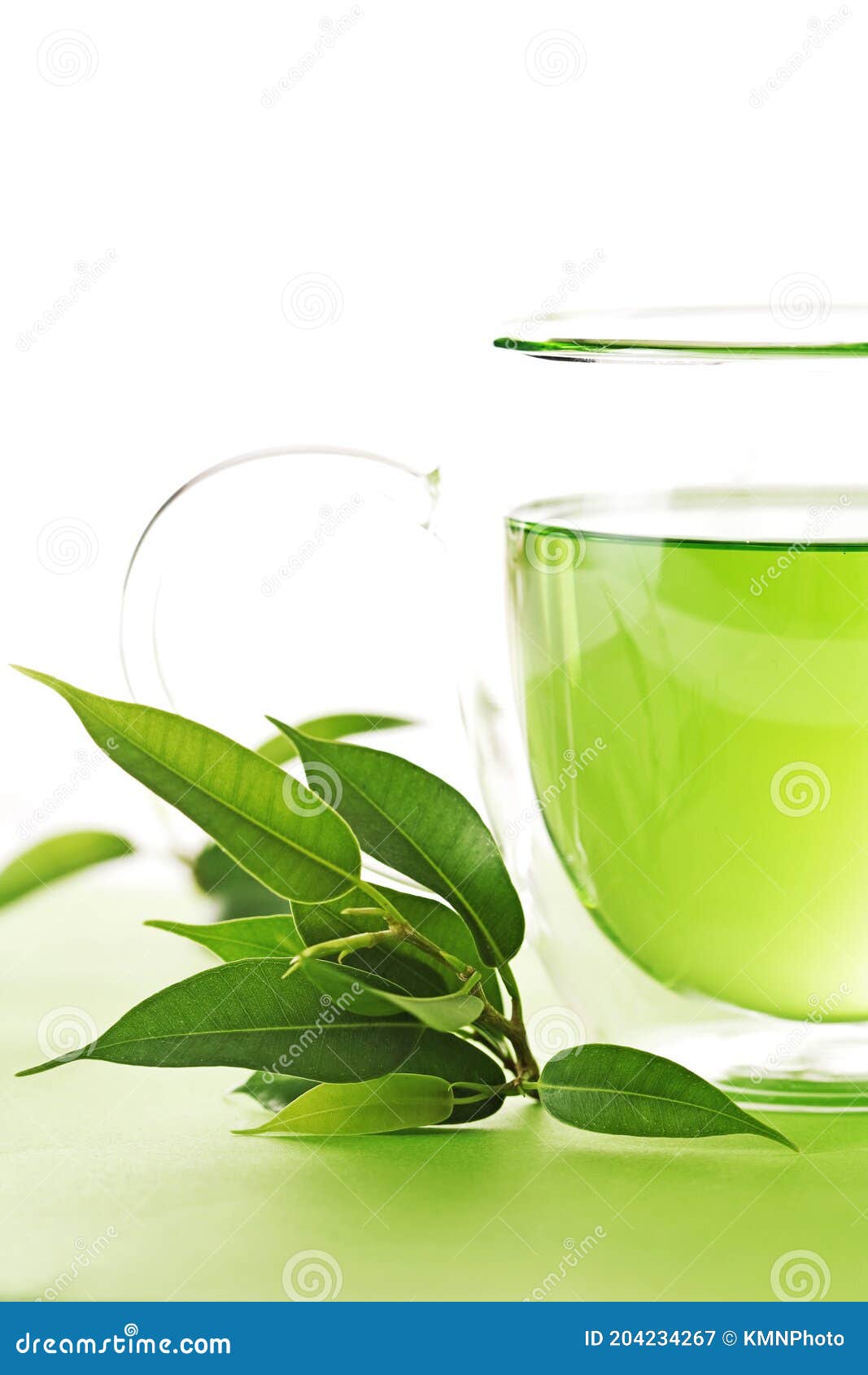 Cup of Fresh Tea. Fresh Tea Leaves Stock Image - Image of herb, drink ...